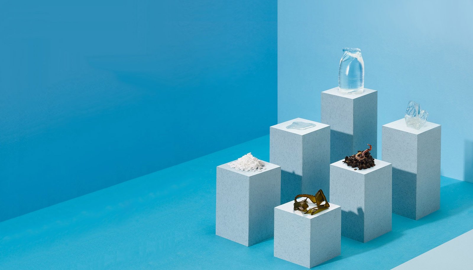 Notpla, une start-up d'emballage durable - Circular